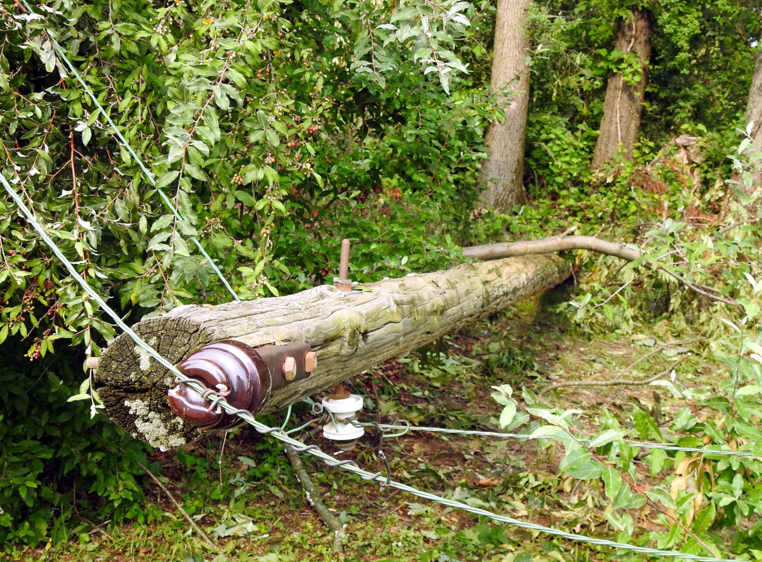 Why Poles Fail - ikeGPS