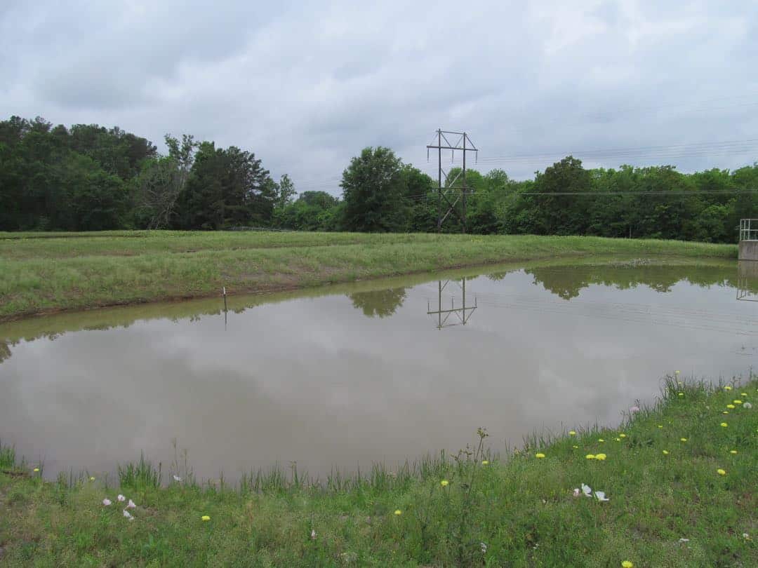 Understanding One of the Most Commonly Applied (and Disputed) Rules of ...